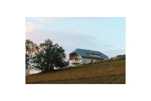 339384 - Schopfheim