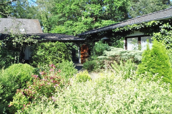 212277 - Buchholz in der Nordheide