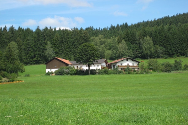 52159 - Drachselsried