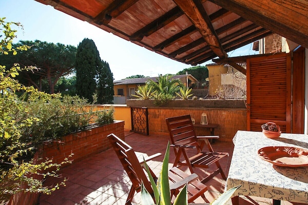 535640 - Castiglione della Pescaia