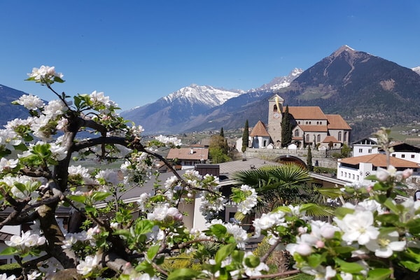 780245 - Merano