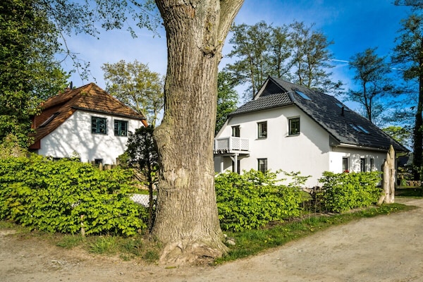 83261 - Prerow