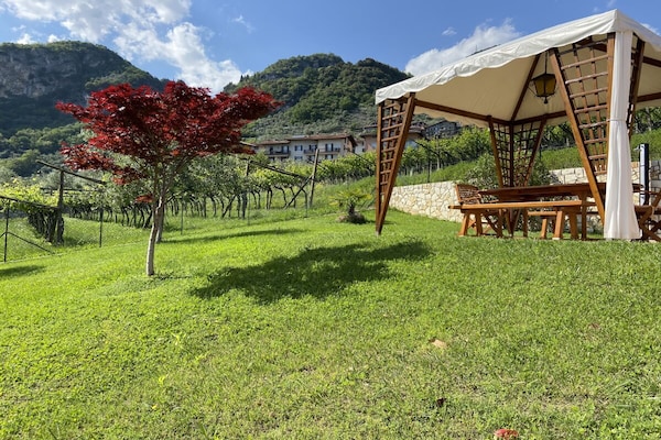 243634 - Riva del Garda