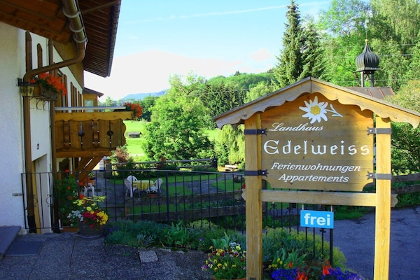 64666 - Ofterschwang
