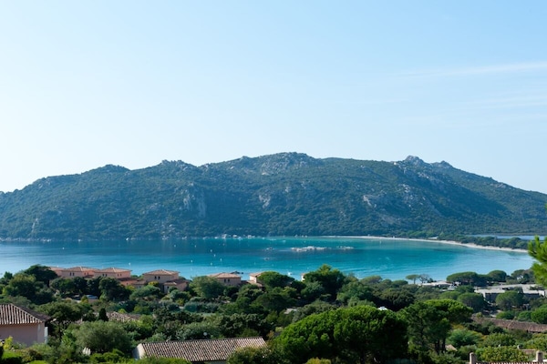 443852 - Corsica