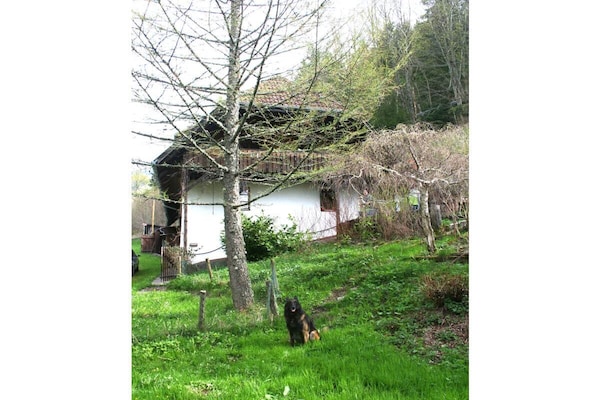 535619 - Schopfheim