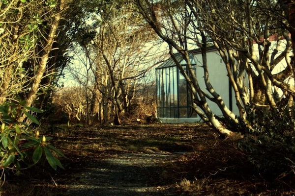 165028 - Irlande