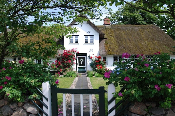 126689 - Sylt
