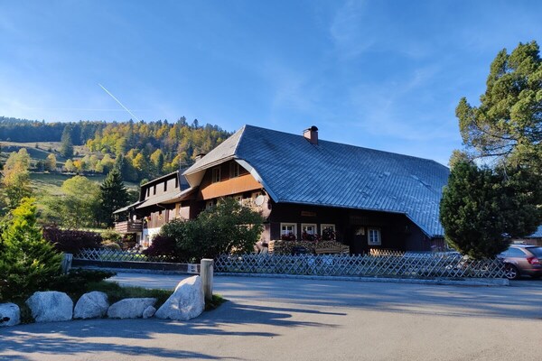 376327 - Menzenschwand