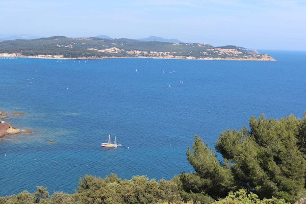137684 - La Seyne-sur-Mer