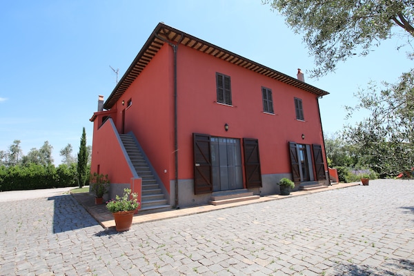Corbezzolo - Montalto di Castro